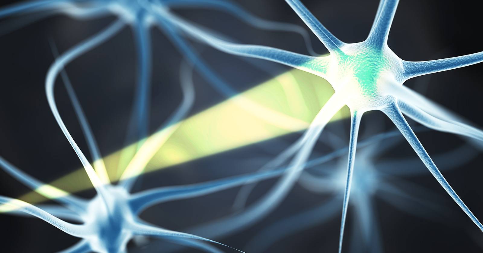 Brain Control With Light: It's Possible With Optogenetics