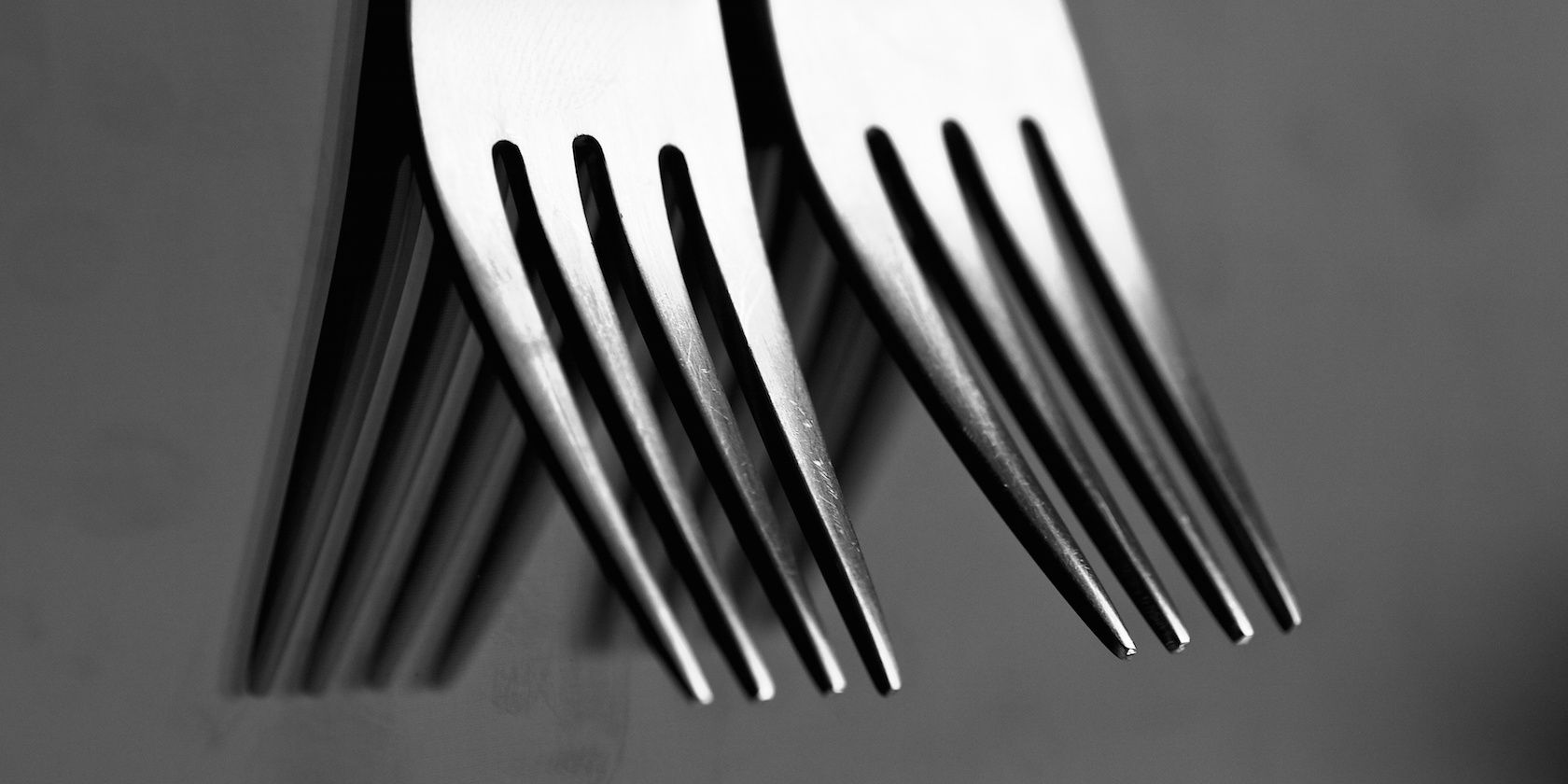 What Does It Mean When Software Is Forked?