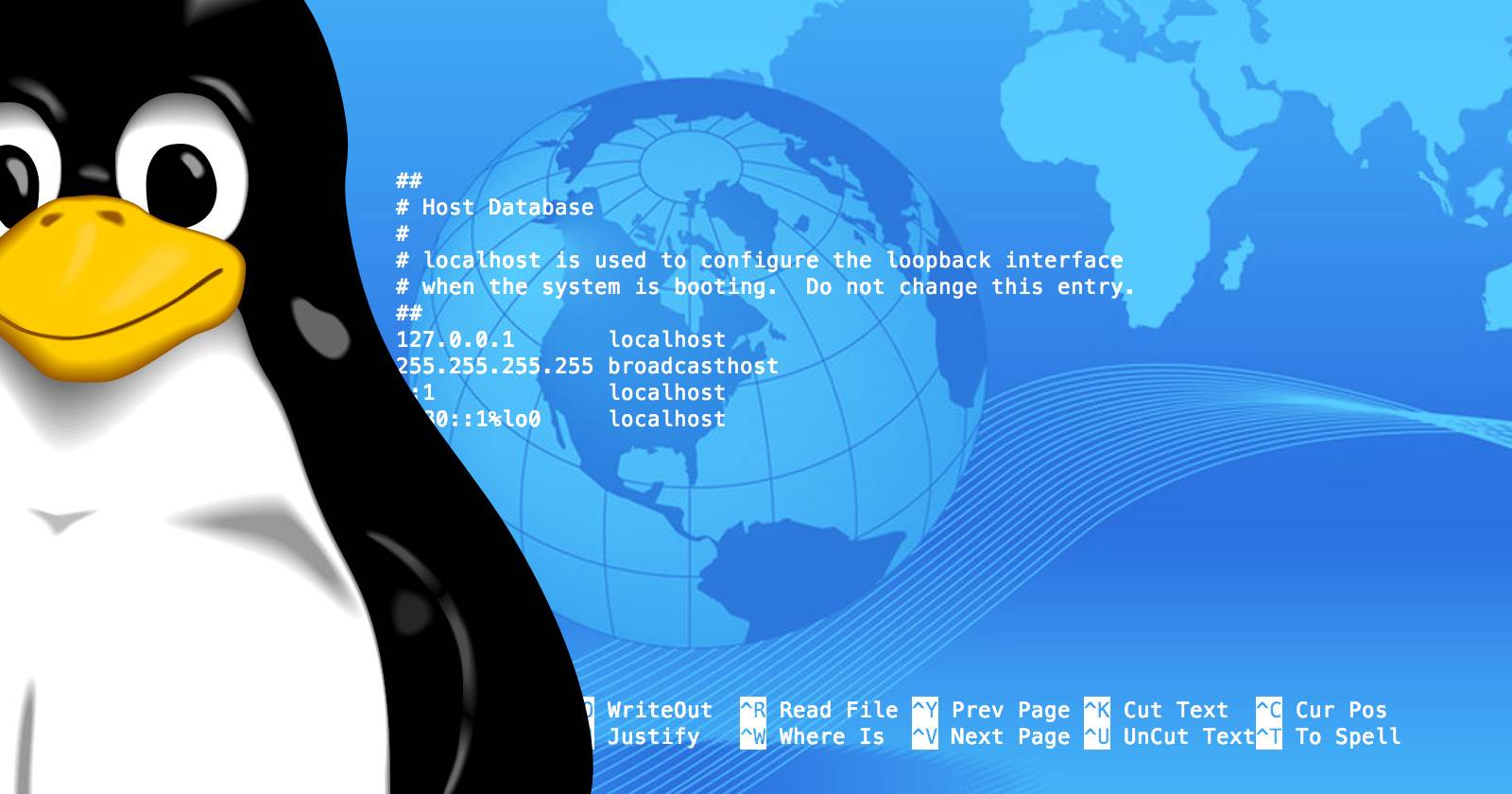 How to Modify and Manage the Hosts File on Linux