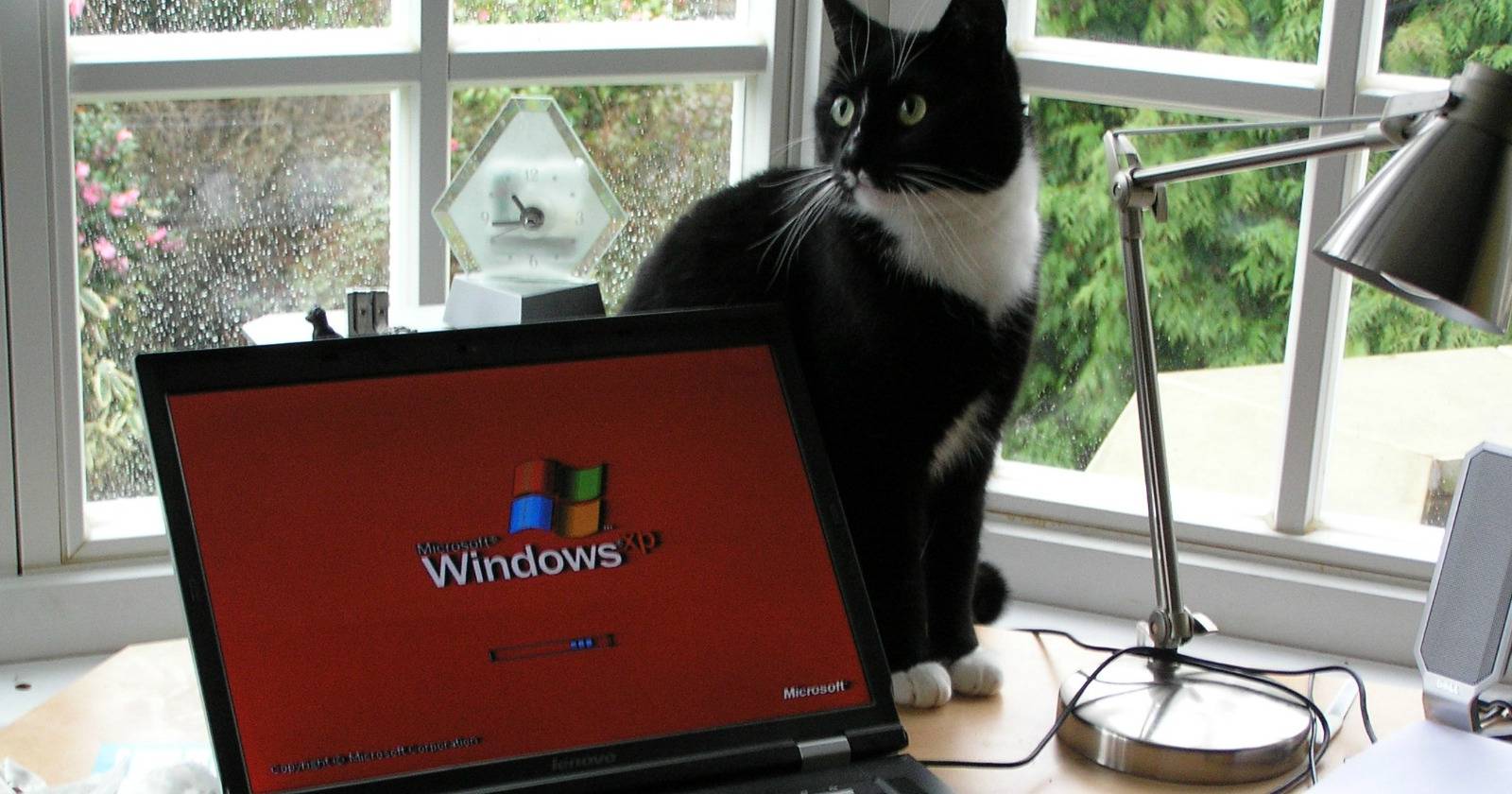 Windows XP Refuses To Die, Android Apps Are Everywhere, & More... [Tech ...