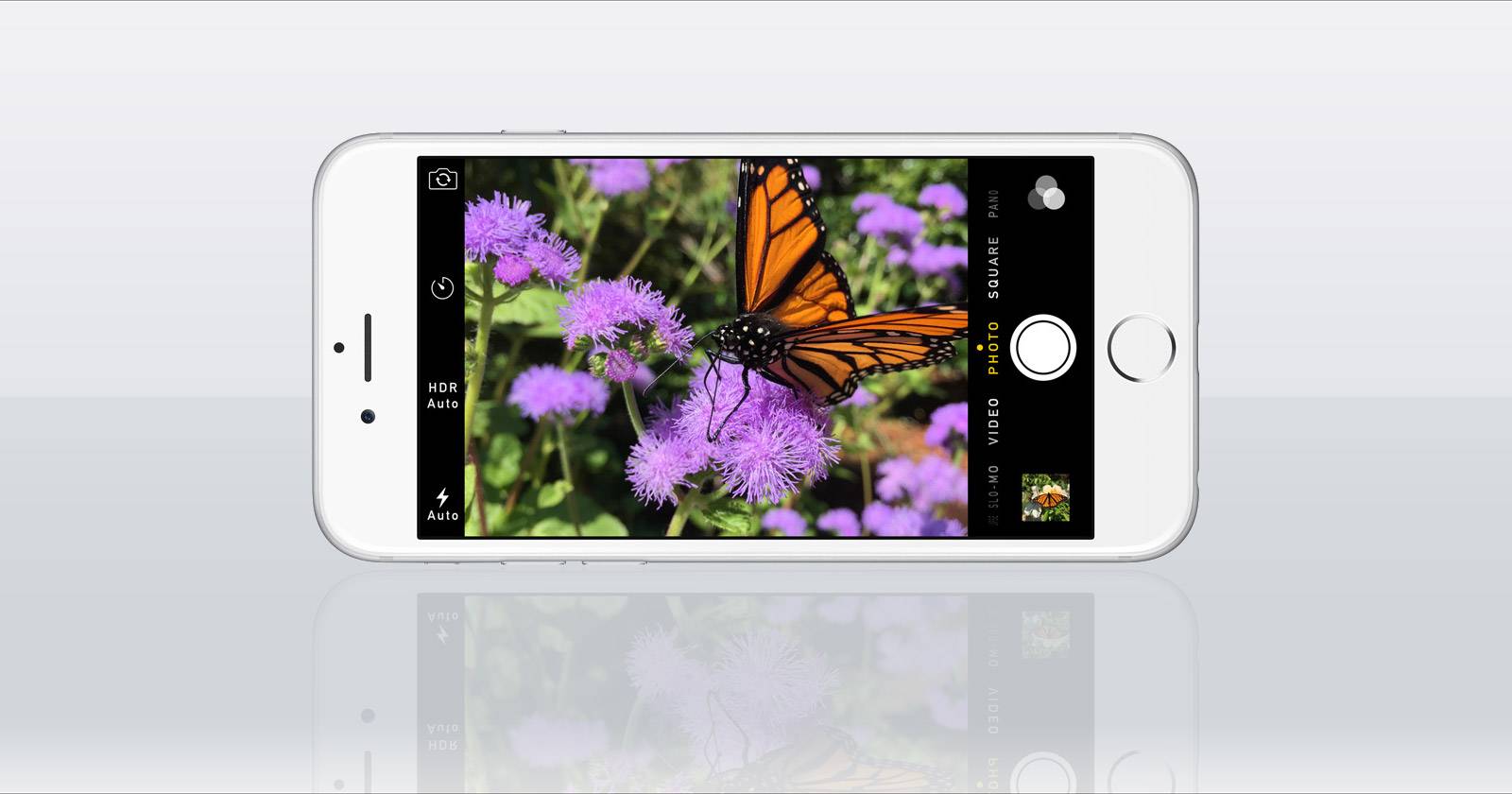 A Quick Start Guide to the iPhone Camera