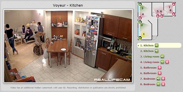6 Creative Uses for Wireless Surveillance Cameras in Your Home