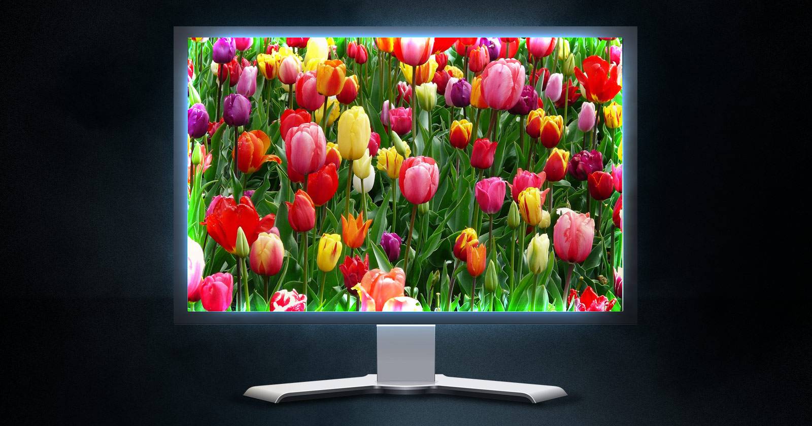 4 Myths About LCD Monitors That Are Outdated and False