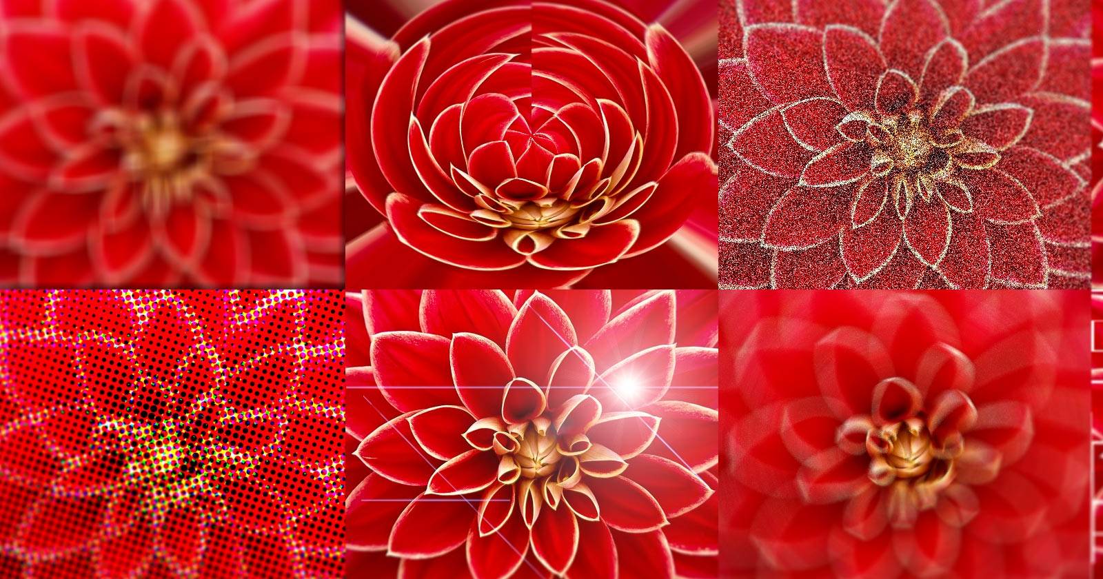 A Newbie's Guide to Photoshop Filters and What Each One Does