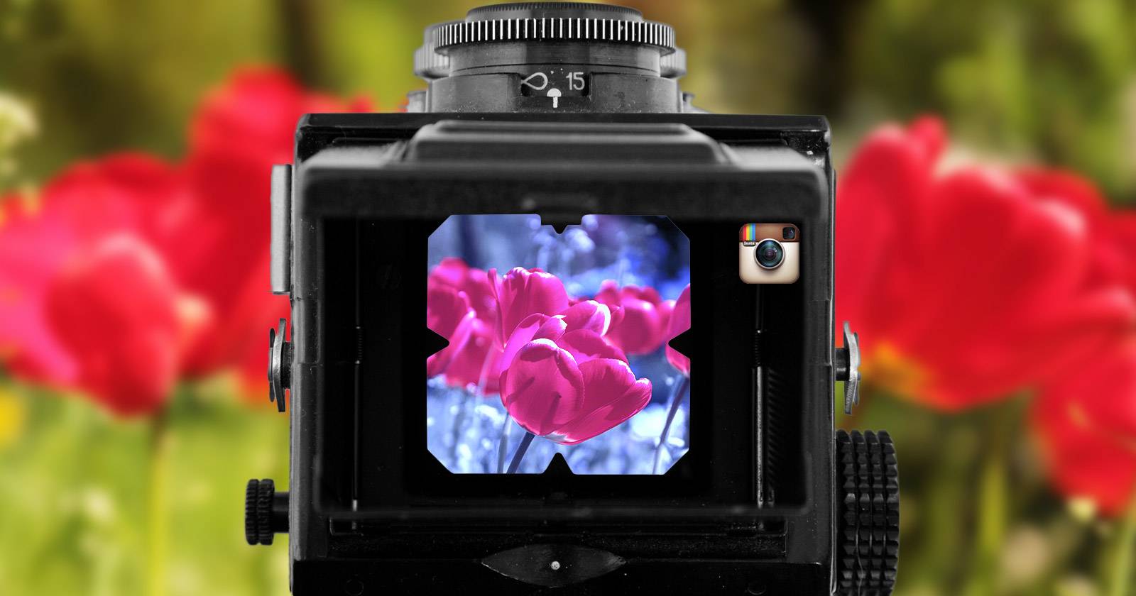 How Instagram Filters Work, And Can You Tell the Difference?