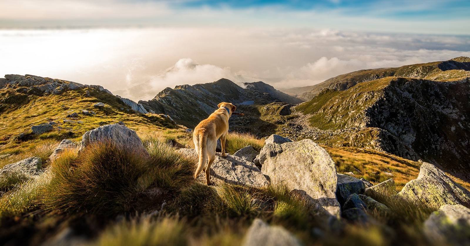 Fed Up With Flat Photos? Add a Sense of Depth with These 6 Tips
