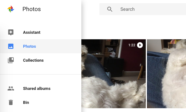 Free up Massive Space on Your Phone with 7 Photo Storage Services