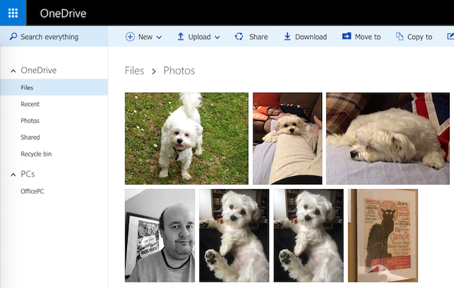 Free up Massive Space on Your Phone with 7 Photo Storage Services