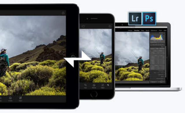Your Guide to Choosing the Right Adobe Product