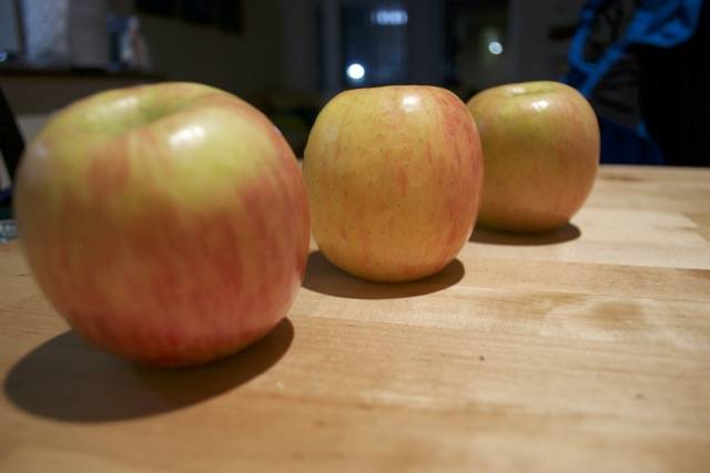 Learn About Depth of Field: 5 Easy Lessons to Improve Your Photos