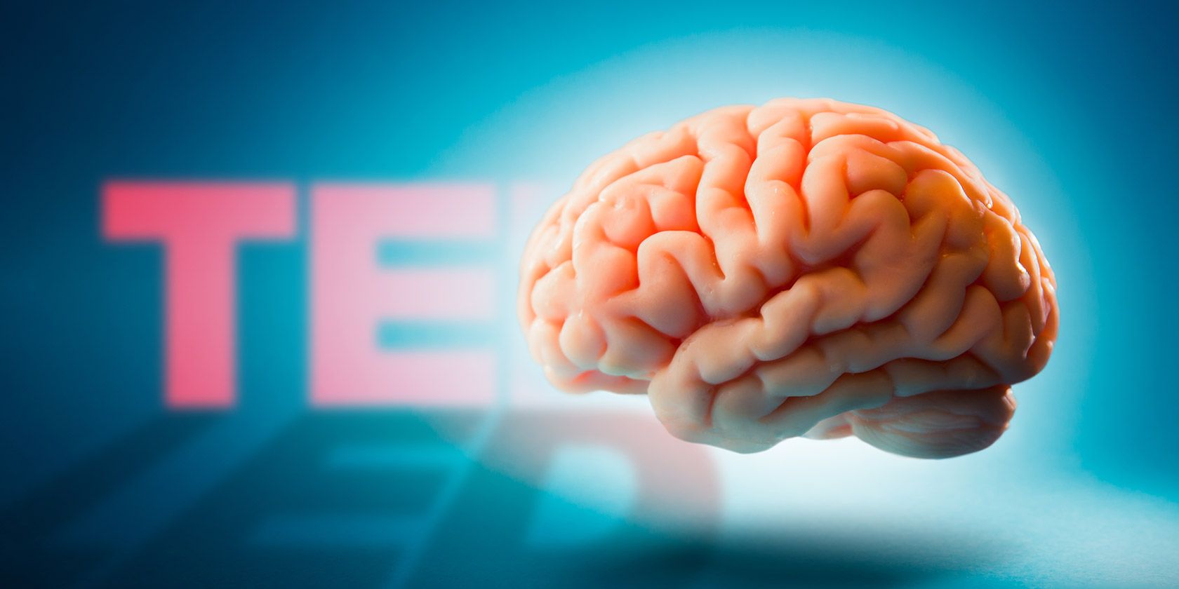 11 Fantastic TED Talks That Explain How Your Brain Works