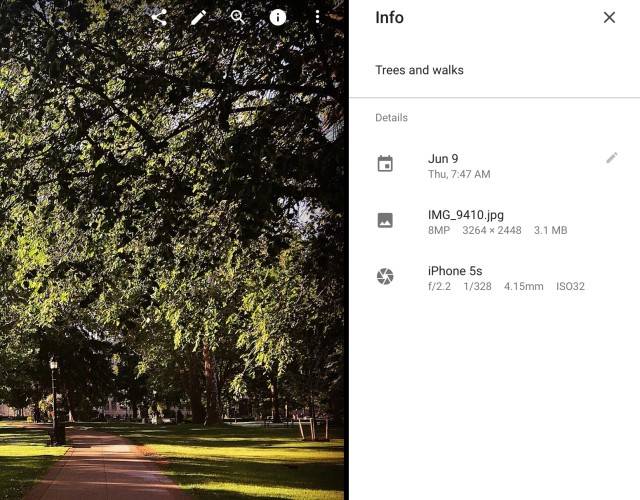 How to Make Google Photos Work for You with These Tips