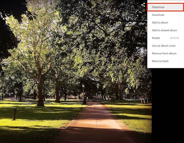 How to Make Google Photos Work for You with These Tips