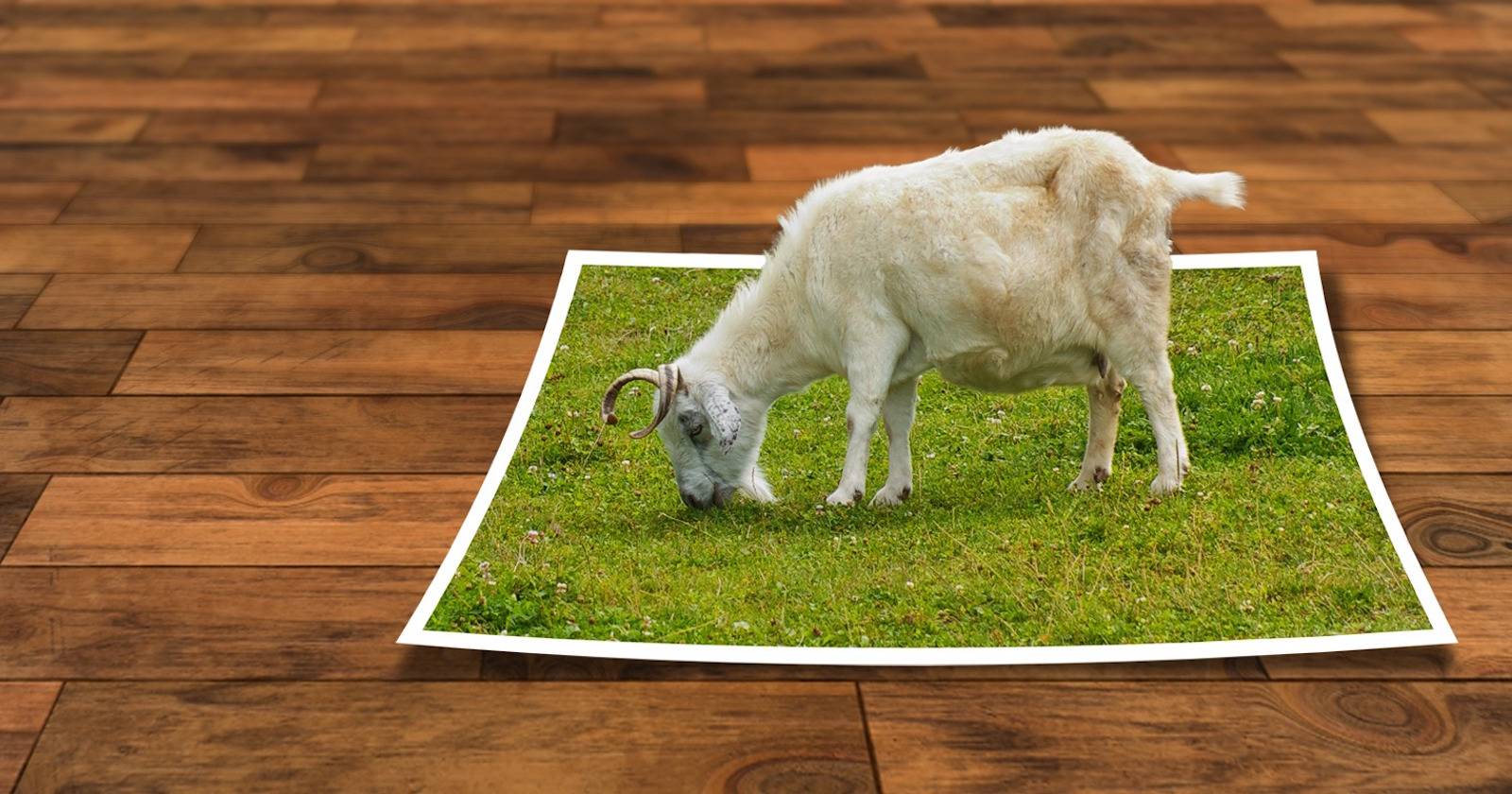 How to Crop Images Using Shapes in Photoshop