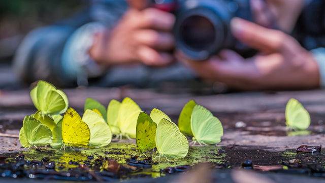7 Ways Photography Can Improve Your Life Today