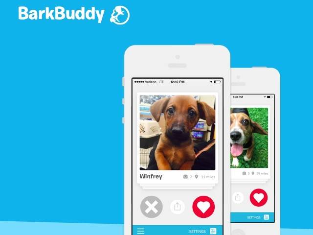 Swipe Right for Jobs, Food, Email & More with These iPhone Apps