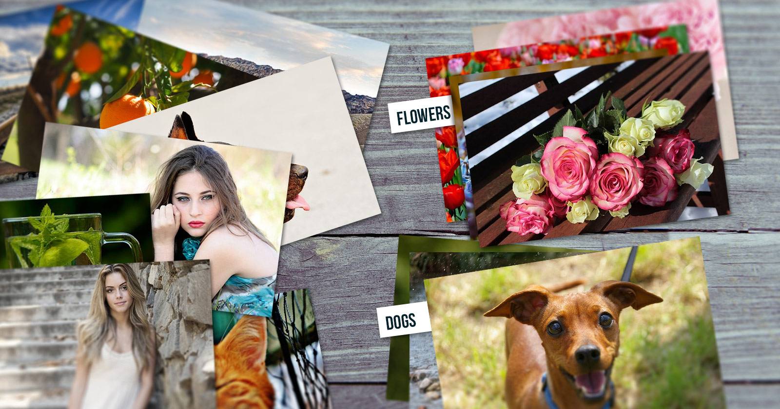 How Should You Organize Your Photos? Try One of These 5 Methods