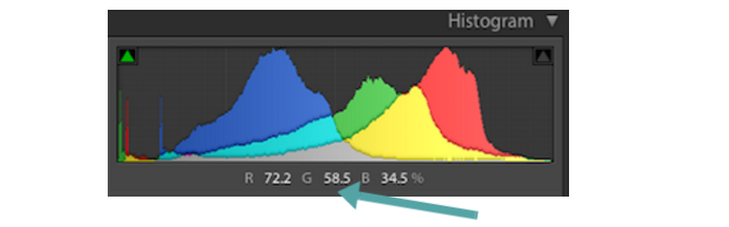 Understanding and Working With Histograms in Adobe Lightroom