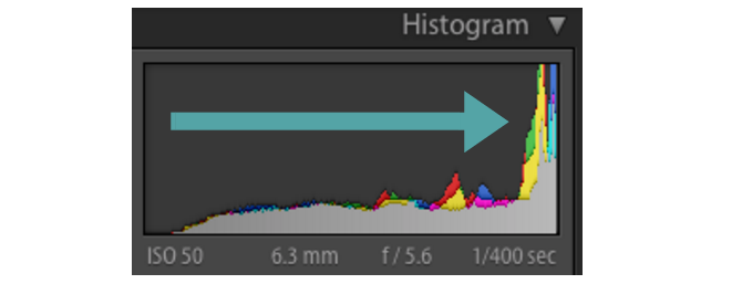 Understanding and Working With Histograms in Adobe Lightroom