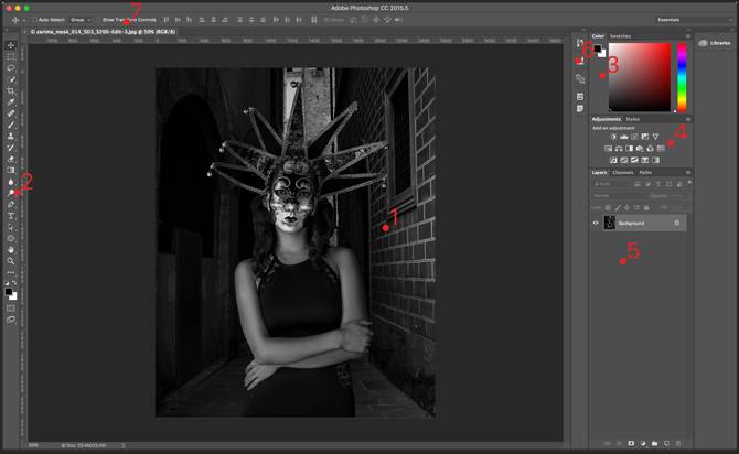 A Complete Beginner's Guide to Adobe Photoshop Creative Cloud