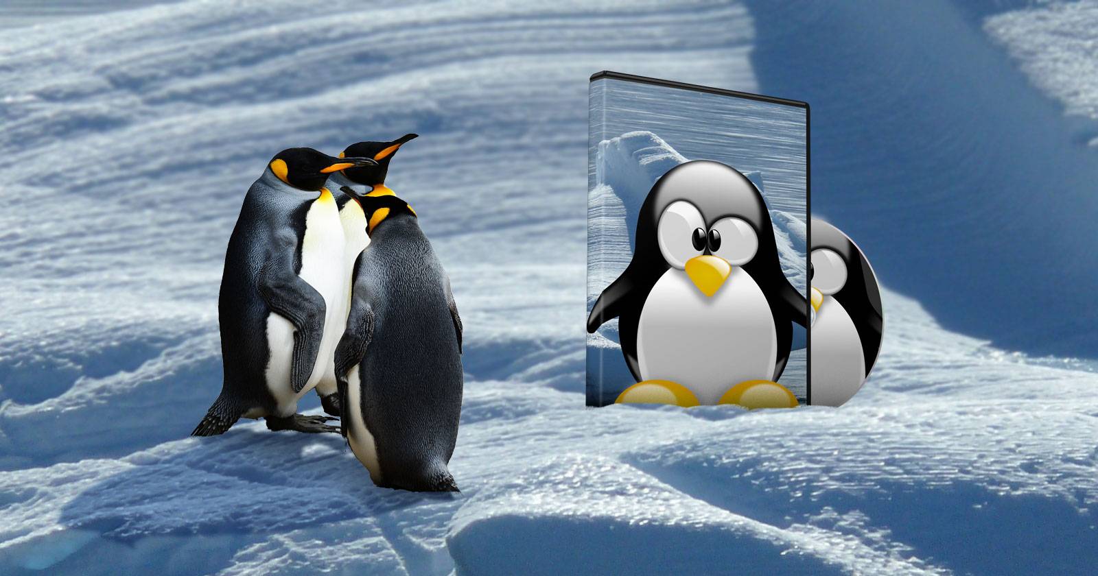 How to Build Your Own Bootable Linux Live CD