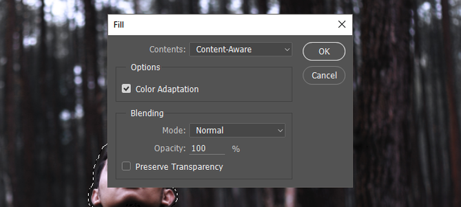 Create a Stunning Moving Picture to Share With the World
