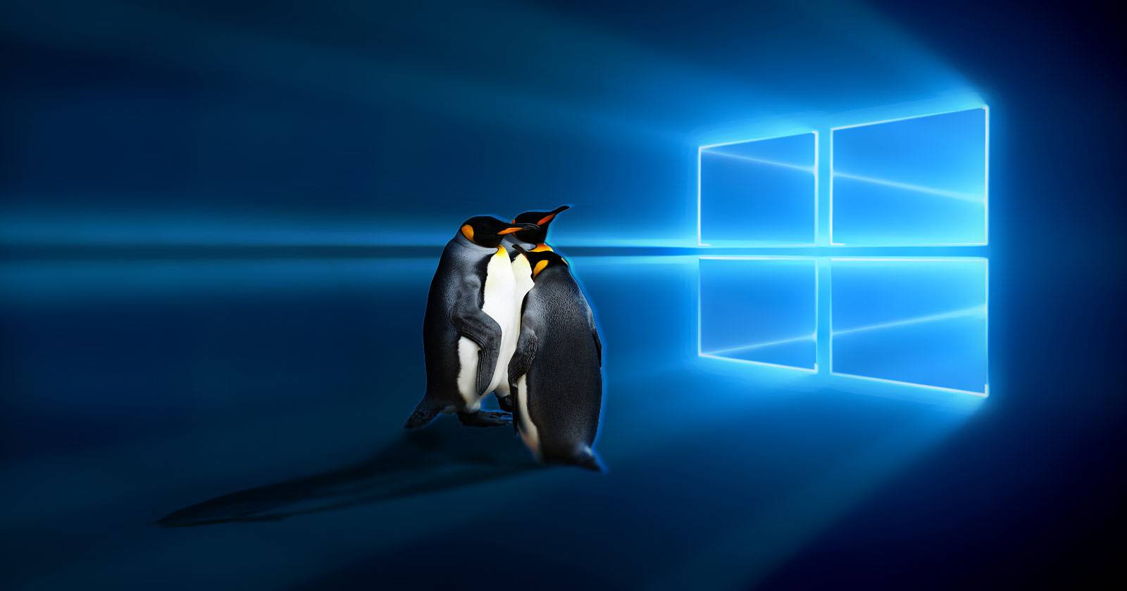 Top 7 Linux Operating Systems You Should Try in a Virtual Machine