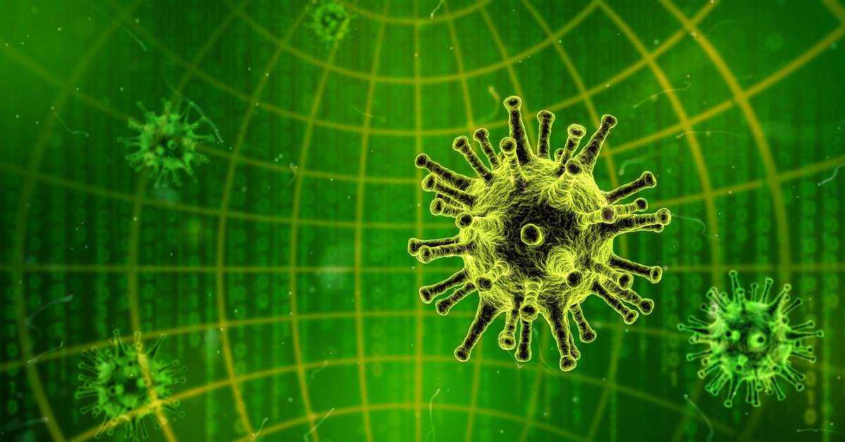 internet virus types