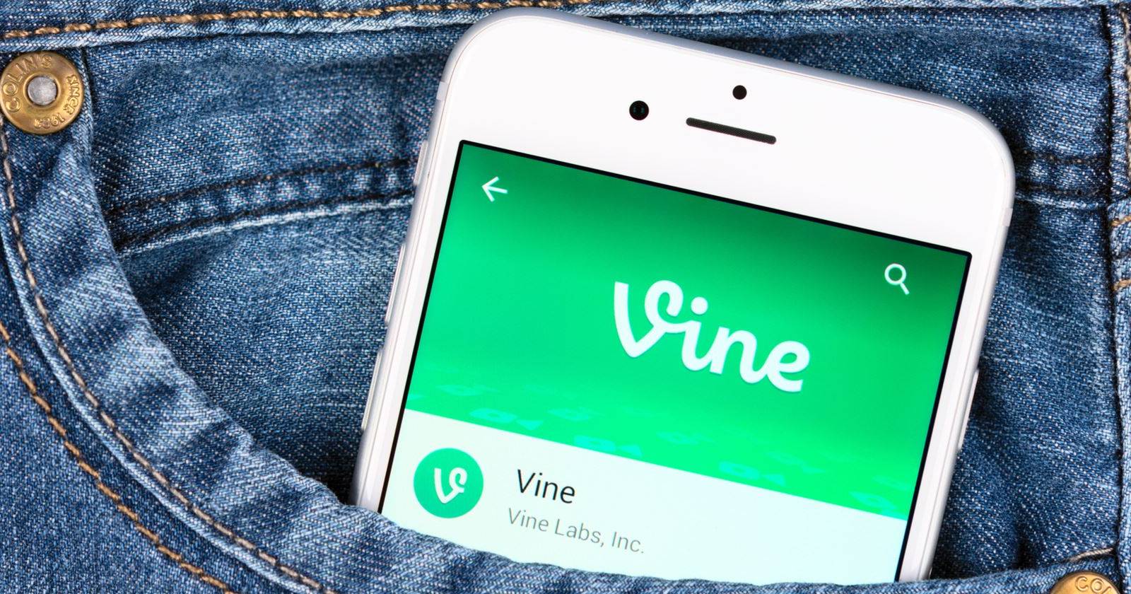 What Was Vine? How to Find and Watch Old Vines