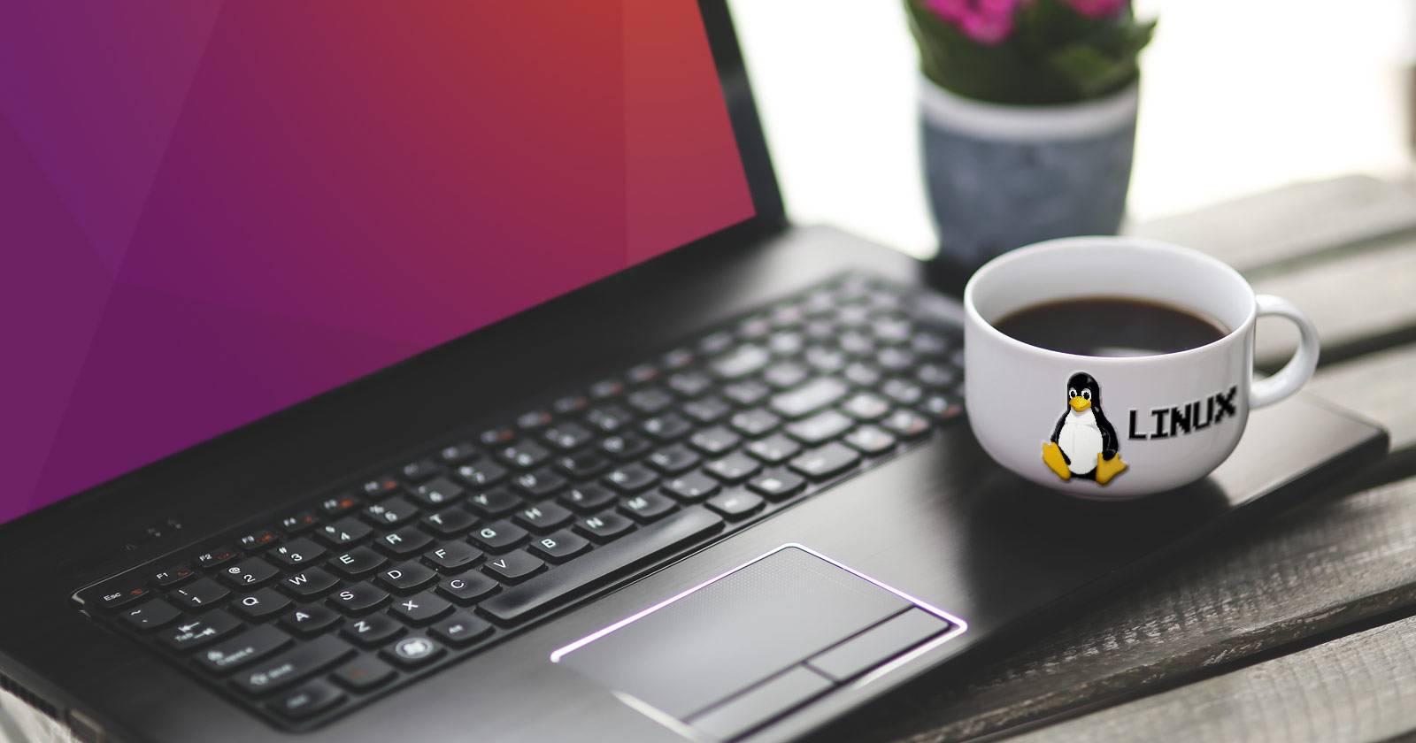 5 Signs That Show You're a Linux Geek