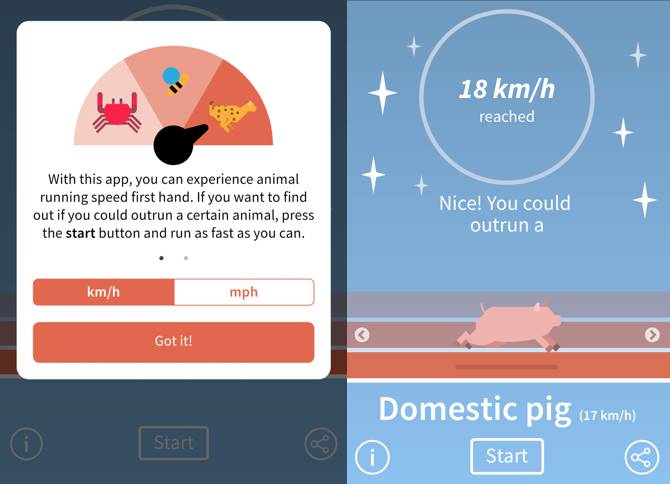You vs. Animals: Compare Strength, Speed, Size, and More
