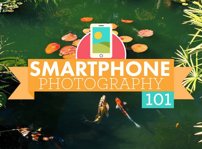 5 Ways to Learn Photography Basics and Improve Camera Skills