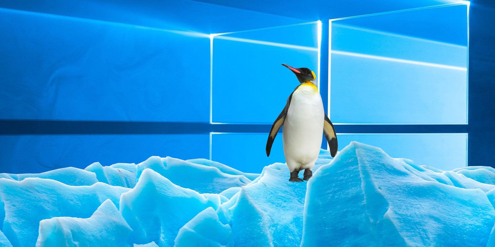 Windows vs. Linux: Here's What They Have in Common