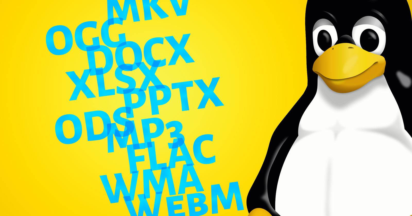Which File Formats Should You Use With Linux?