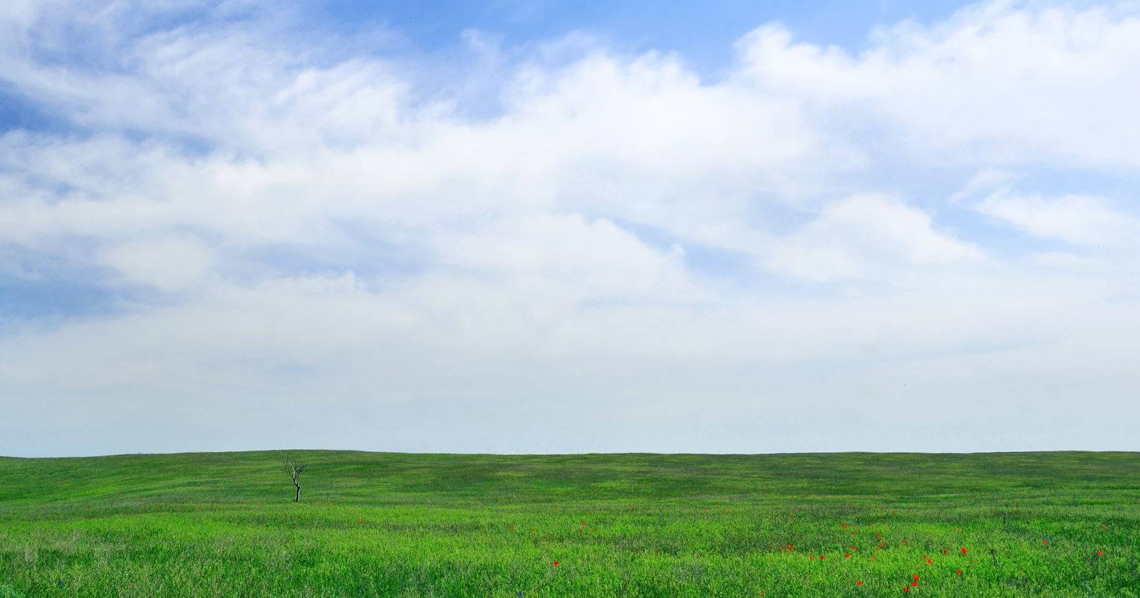 6 Desktop Wallpapers to Increase Your Productivity