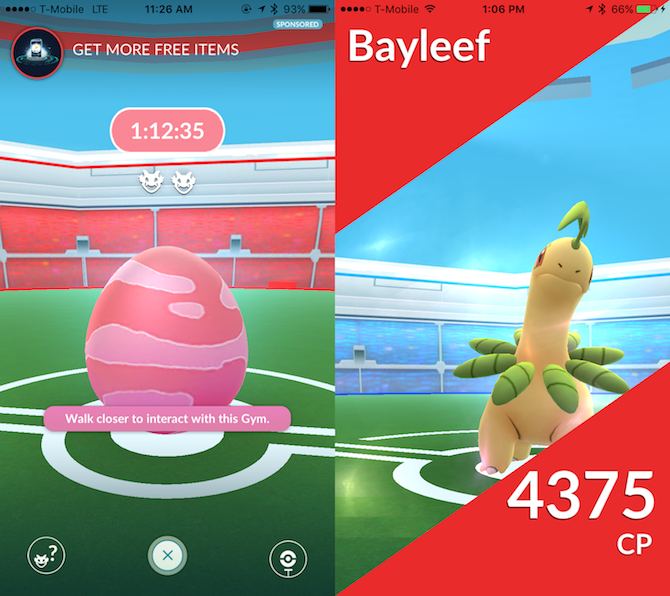 Master Pokémon Go's New Gyms and Raids With These 9 Tips