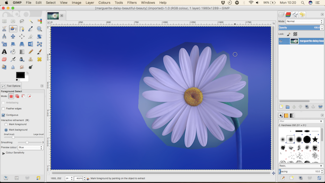 Let Your Photos Shine With a Custom Background: Here's How Using GIMP