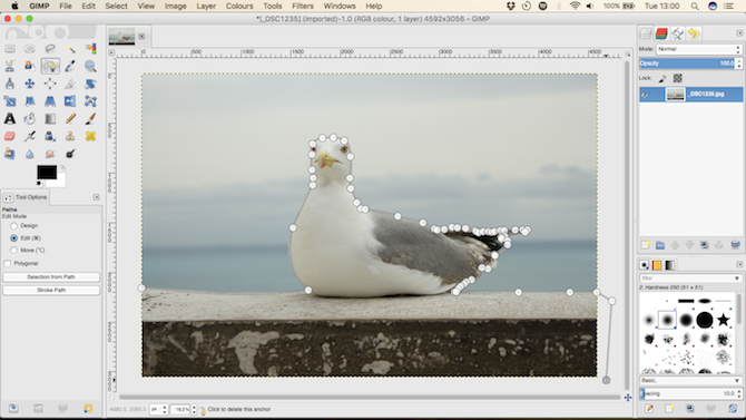 Let Your Photos Shine With a Custom Background: Here's How Using GIMP