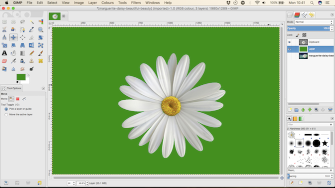 Let Your Photos Shine With a Custom Background: Here's How Using GIMP