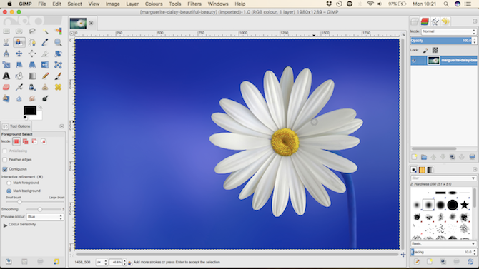 Let Your Photos Shine With a Custom Background: Here's How Using GIMP
