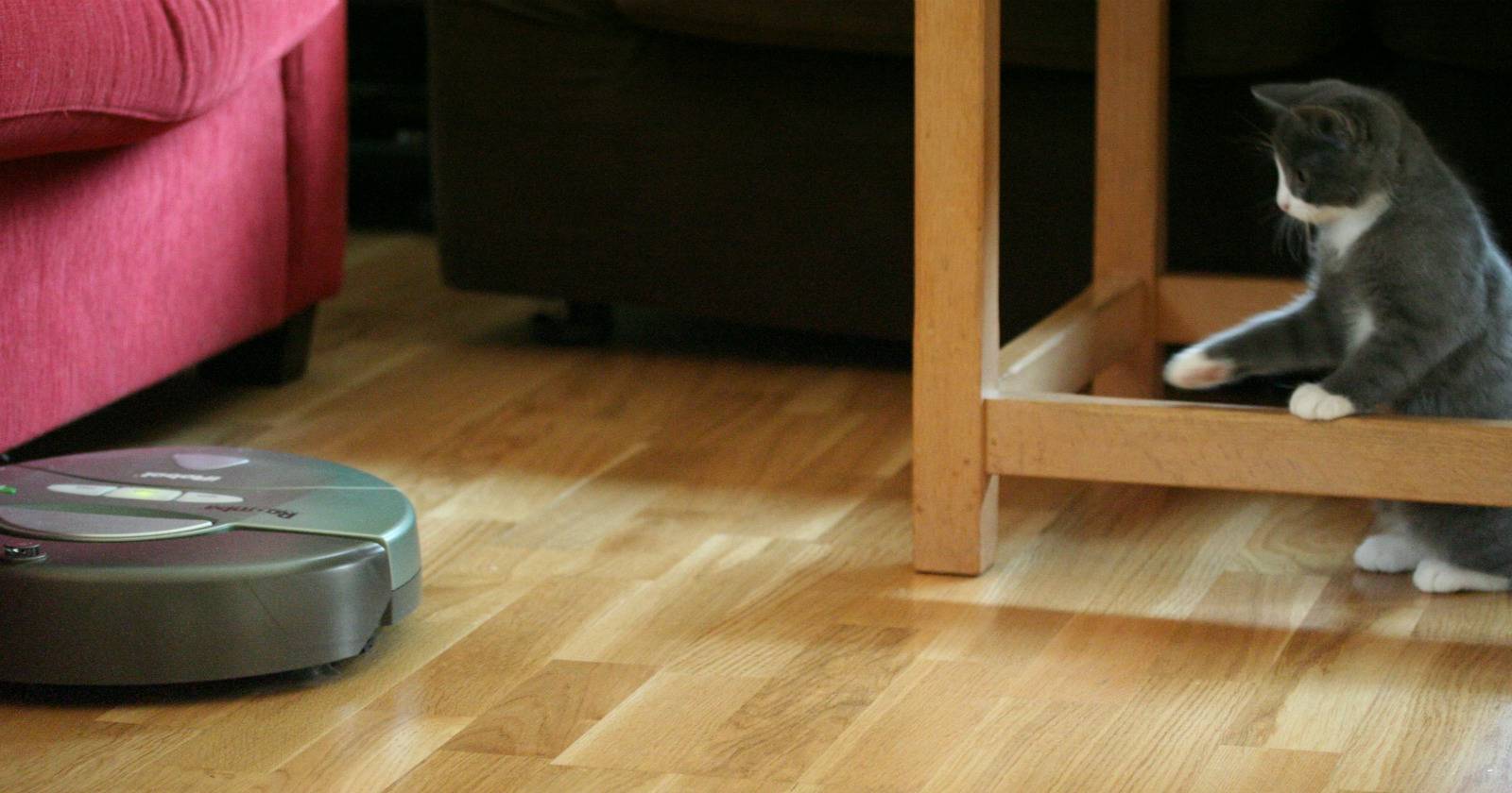 Roomba Wants to Start Mapping Your Smart Home