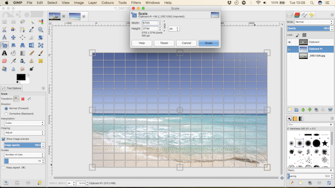 Let Your Photos Shine With a Custom Background: Here's How Using GIMP