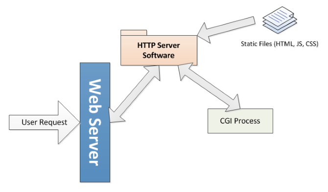 What Are CGI Scripts and How Do They Improve Websites?