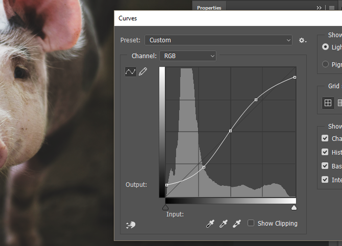Emulate Film Quality in Digital Photos With Photoshop