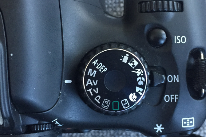 A Beginner's Guide To Digital Photography