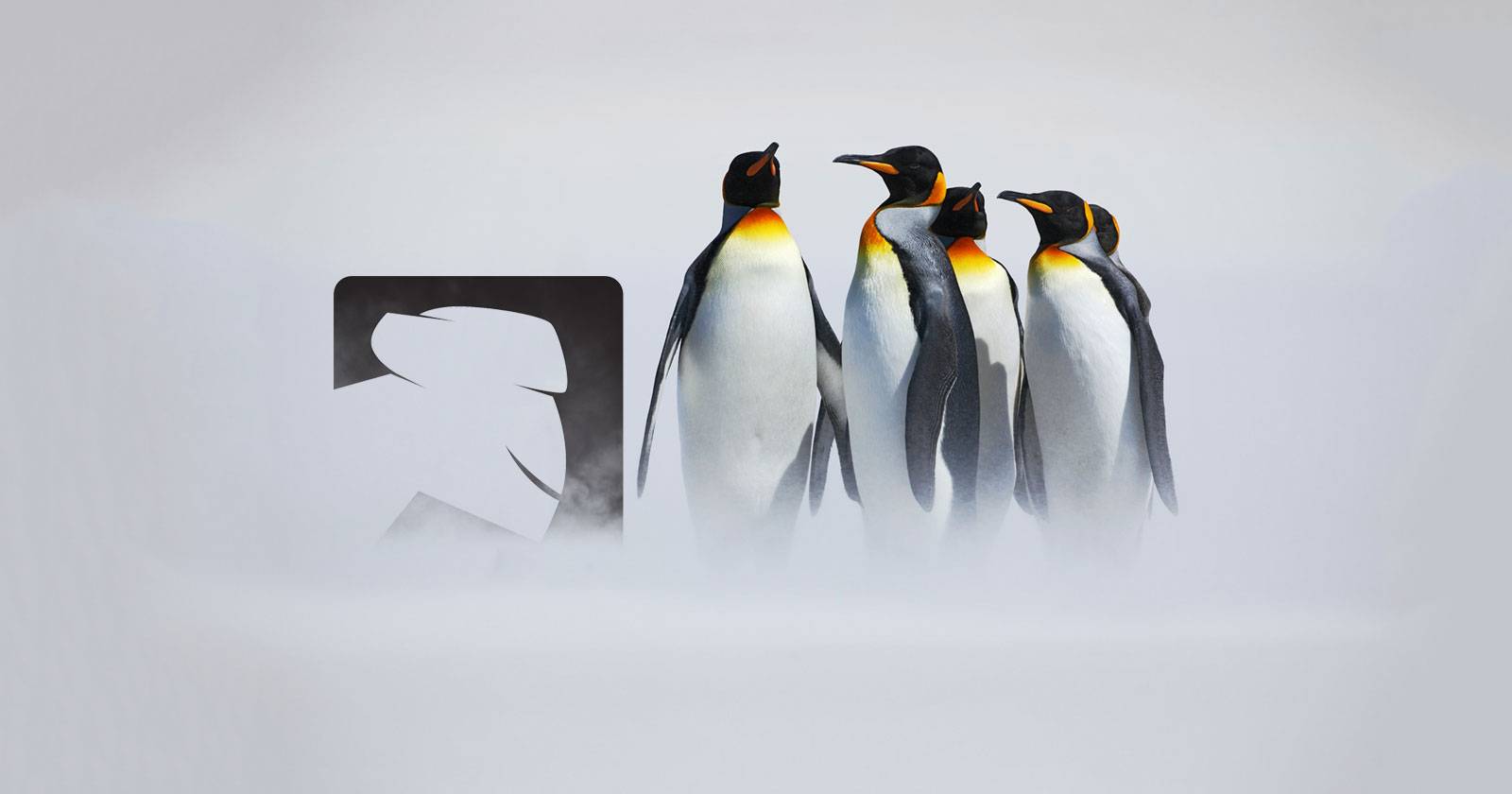 What Is Mono and How Does It Help Windows Switchers New to Linux?