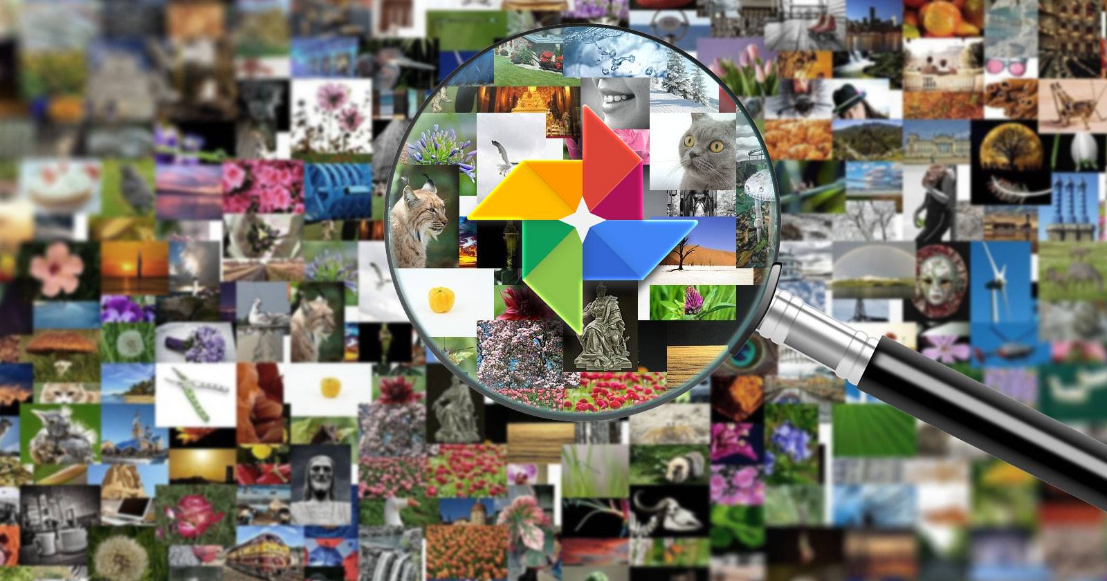 How to Find a Photo in Google Photos and Organize Images