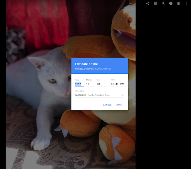 How to Find a Photo in Google Photos and Organize Images