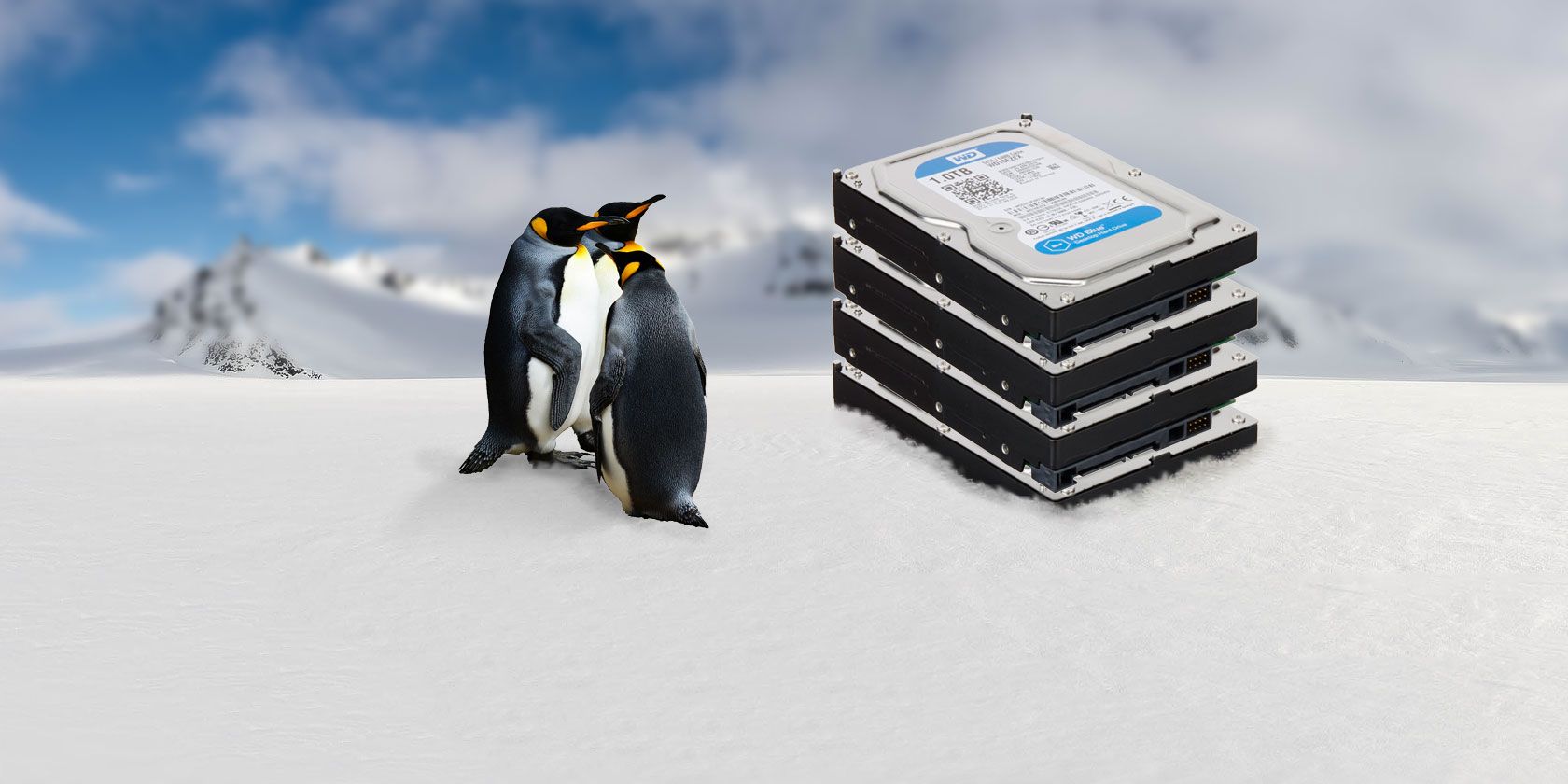 How to Configure a RAID HDD Array in Linux