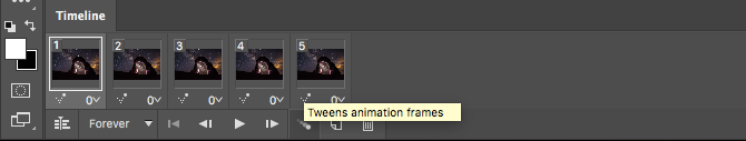 How to Make a GIF in Adobe Photoshop
